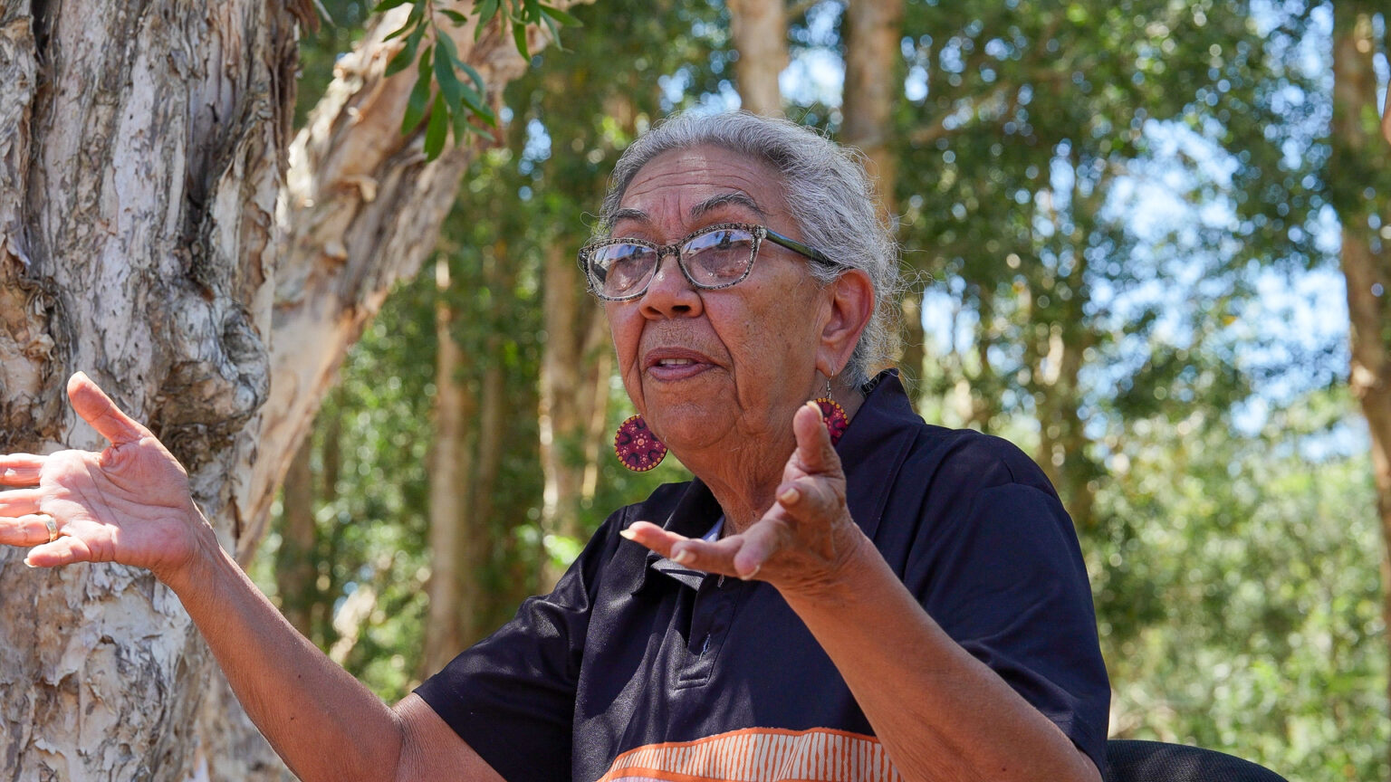 Aunty Debra Swan: A Proud Gomeroi Matriarch Elder | AbSec NSW